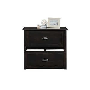 Pemberly Row Engineered Wood 2-Drawer Lateral File Cabinet in Estate Black