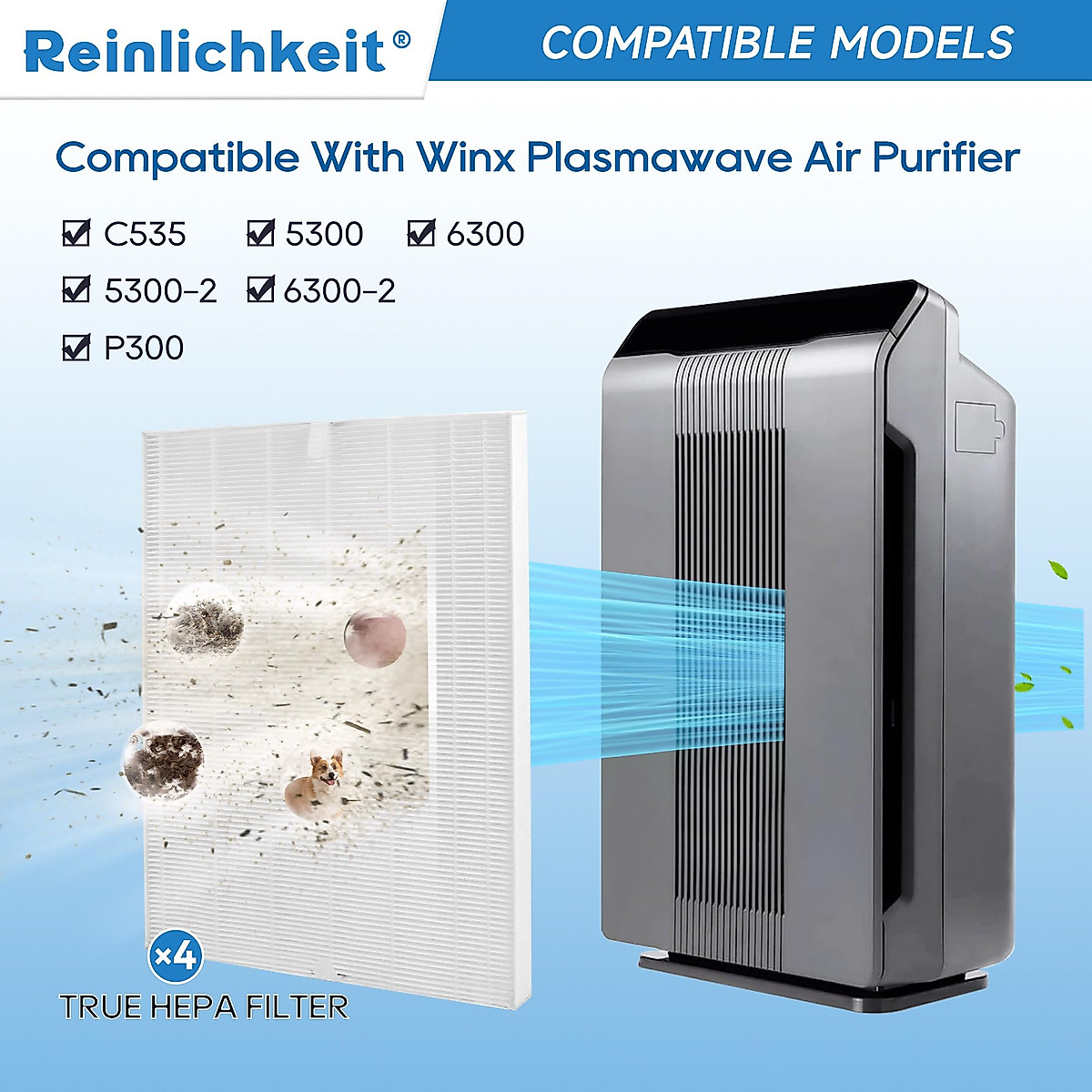Reinlichkeit 115115 HEPA Filter Replacement for Filter A Size 21, Compatible with Winx Plasmawave C535, 5300, 5300-2, 6300, 6300-2, 5000, 5000B, 9000, 9800, AM90, P300, C909, 4 Pack