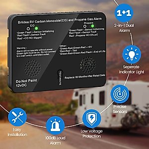 RV Carbon Monoxide & Propane Gas Alarm, Briidea Dual LP/CO Alarm with Separate LED Indicator Light, 100dB Loud Alarm, Provide You with Early Warning to Ensure Safety, 12 VDC