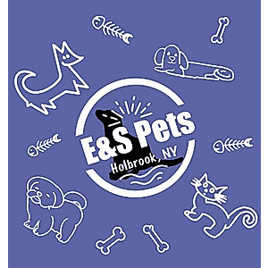 Golden Retriever Ornament with Unique "Dangling Legs" Hand Painted and Easily Personalized Christmas Ornament