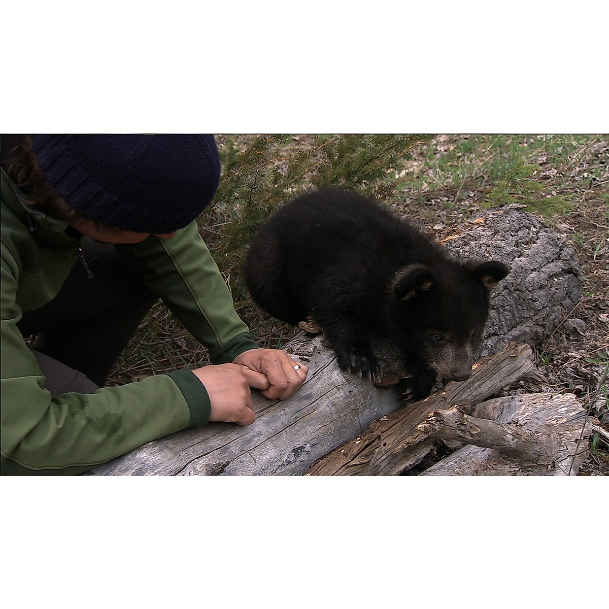 Kinect Nat Geo TV - Xbox 360