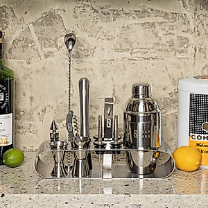 BAR NONE The Cocktail Set | 12-Piece Stand Bar Set Exquisite Quality Bartender Kit Tools | Martini Shaker Jigger Shot Muddler Spoon Ice Tongs Corkscrew Knife Bottle Opener Pourers (Stainless Steel, 1)