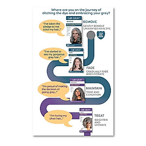 Go Gray Treatment System (Remove), 1 Application, Revitalizing Treatment Hair Color Remover Gradually Removes Hair Dye to Reveal Gray & Silver