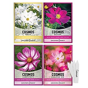 Cosmos Seeds for Planting Outdoors Flower Seeds (4 Variety Pack) Cosmos Candystripe, Sensation Mix, Dazzler, Purity Pink and White Varieties for Bees, Pollinators Wildflower Seed by Gardeners Basics