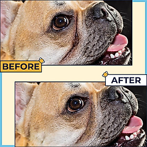 Wrinkle Paste for Bulldogs 2oz–Say Bye to Rash and Keep Fold Clean on Frenchie, English Bulldog, Pug- Wrinkle Cream for Dogs for Skin,Tail Pockets, and Paws- Wrinkle Paste for French Bulldogs