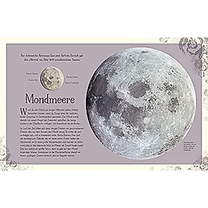 Wundervolle Welt der Sterne: Ein Weltall-Bilderbuch für die ganze Familie. Hochwertig ausgestattet mit Lesebändchen, Goldfolie und Goldschnitt