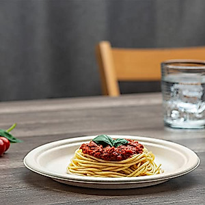 Comfy Package [Case of 500 9 Inch Paper Plates, 100% Compostable Plates Heavy-Duty - Kraft Biodegradable Plates, Disposable Sugarcane Paper Plates - Brown Unbleached