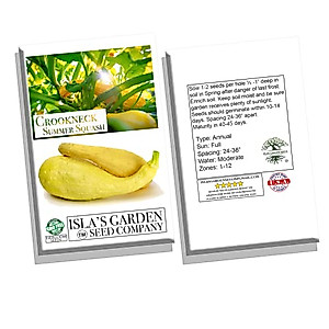 Crookneck Summer Squash Seeds for Planting, 30+ Heirloom Seeds Per Packet, (Isla's Garden Seeds), Non GMO Seeds, Botanical Name: Cucurbita moschata, Great Home Garden Gift