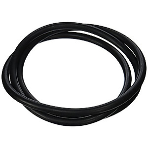 Sta-Rite Pentair O-Ring S8S70 AS-121LE