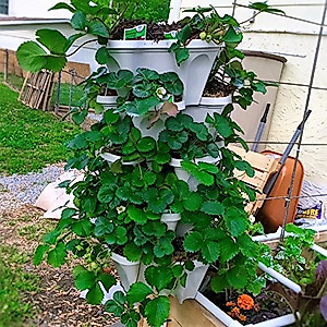 Mr. Stacky 5 Tiered Vertical Gardening Planter, Indoor & Outdoor