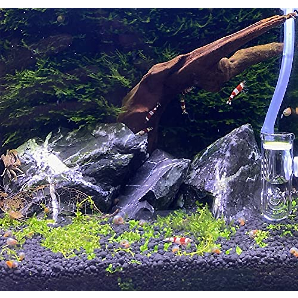 LANDEN Natural Tonwa Stones Slate Stones for Aquariums Terrariums, Paludarium,Vivariums, Reptile and Amphibian Enclosures (17lbs, 2 to 8 inches)