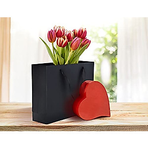 HUAPRINT Black Paper Bags,Shopping bags with Ribbon Handles,20Pcs,10.6x8.3x3.1,Craft Gift Bags for Clothes,Bulk Lunch Bags,Retail Bags,Party Favor Bags,Merchandise Business Bags,Wedding Bags