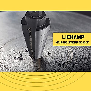 Lichamp Unibit Step Drill Bit for Metal, Genuine M2 Drill Stepper Bit for Hard Metal Heavy Duty, 12 Sizes from 3/16" to 7/8", Dual Straight Grooved with Hex Drive, A3BK