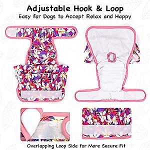 INNSFURR Dog Diapers Female for Heat Cycle Dog Period, Reusable Washable Dog Diapers (Pack of 3), Highly Absorbent with Strong & Flexible Velcro Medium (13”-19” Waist)