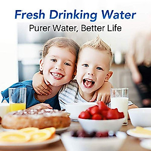 ICEPURE Pitcher Water Filter Replacement for Brita® Standard Water Filter, Brita® Pitchers and Dispensers,Classic OB03, Everyday, UltraMax, Metro+, XL, Mavea® 107007 35557 and More NSF Certified 3PACK