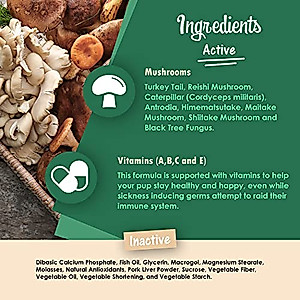 Mycogen for Dogs - Vitamins with 8 Types of Mushrooms - Support Immune System - 60 Soft Chews