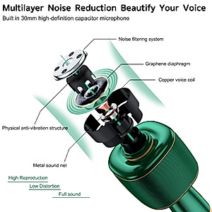 AsperX Karaoke Microphone, Wireless, Bluetooth, Portable, 5 in 1 Microphone with 40W Full Range Stereo Speaker for Singing, Suitable for Adults & Kids, Perfect for Birthday, Home Party (Green)