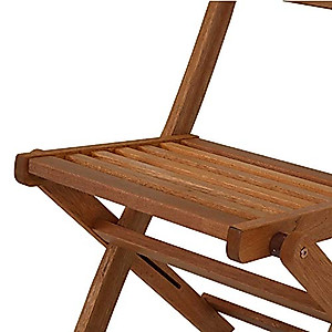 Sunnydaze Meranti Wood Outdoor Folding Patio Chairs - Set of 2 - Outside Wooden Bistro Furniture for Lawn, Deck, Balcony, Garden and Porch - Teak Oil Finish