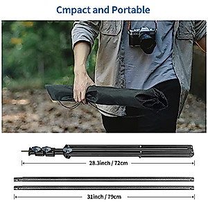 Hemmotop T Shape Backdrop Stand Portable 5ft Wide 6.5ft Tall, Green Screen Stand Adjustable Photo Background Stand with 4 Clip Clamps and Carry Bag for Video Studio Parties