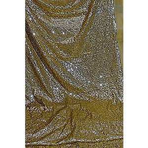 Sequins and Metallic in Mesh Fabric by Yard,Embroidery Lace Heavy Beads,Sequin Embroidery Lace Fabric, Metallic Fabric,Smoke Gray Sequin (Gold, 10 Yards)