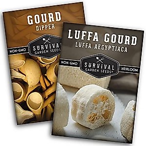 Dipper & Luffa Gourd Seeds to Plant - Loofah & Dipper Variety Gourds - Non-GMO Heirloom Seed Varieties for Planting & Growing Ornamental & Craft Gourds in The Vegetable Garden - Survival Garden Seeds