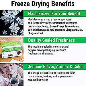 Sayan Siberian Chaga Mushroom Tea Organic Antioxidant Caffeine Free, Raw and Extract Blend, Unbleached 20 Bag, Wild Harvested for Focus Concentration Energy Boost and Immune Support, Detox