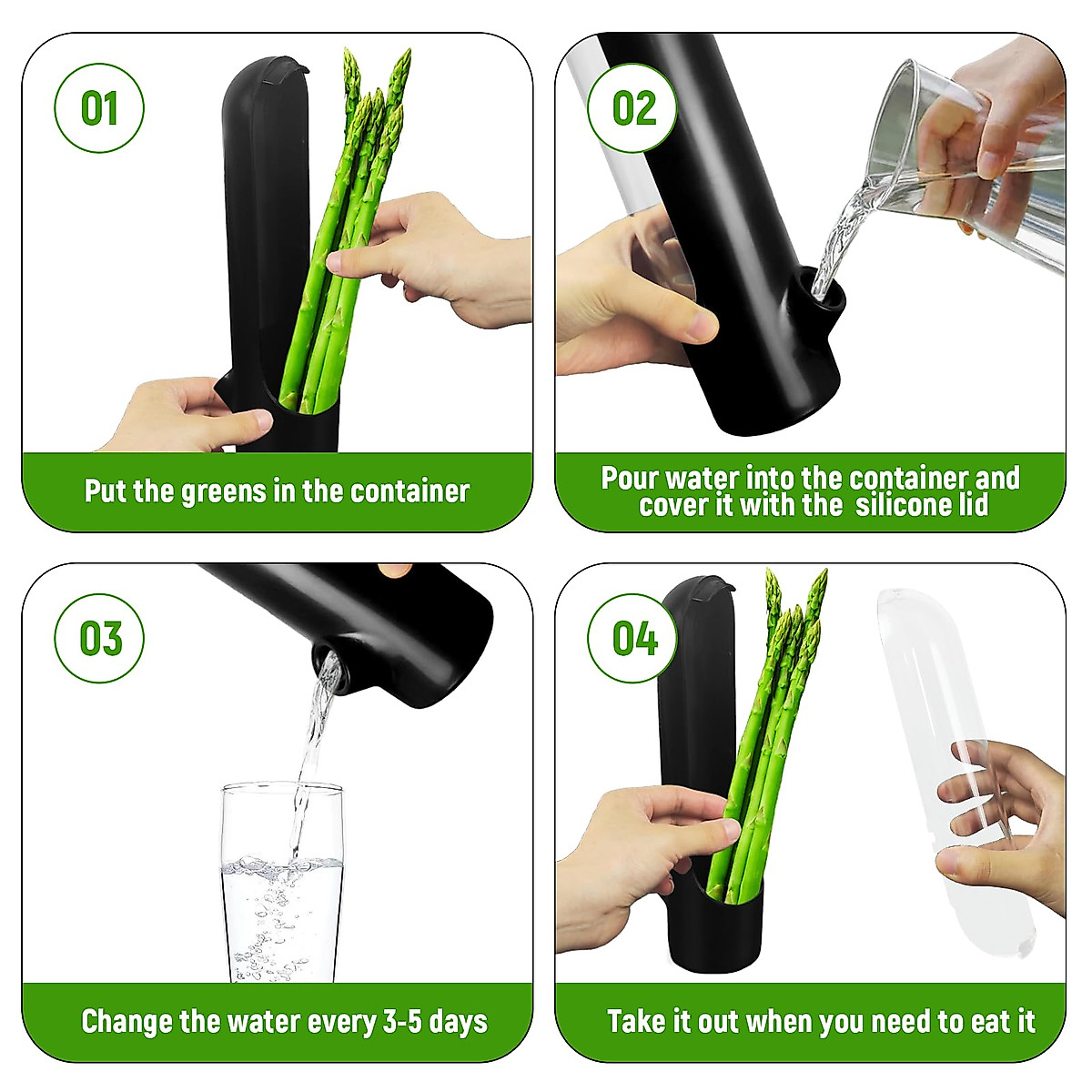 woodounai 2 Pcs Herb Saver for Refrigerator Cilantro Container for Fridge Fresh Herb Keeper Herb Storage Fridge Organizer for Cilantro Mint Parsley Asparagus Vegetables Fruit (White & Black)