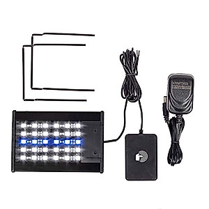REPTI ZOO Terrarium Light Day and Night Mode Reptile LED Light Hood for Reptile Terrarium White Light and Blue Light Fit for Different Pet Habits