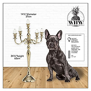 Romantic Hamptons Tall Five Candle Gold Candelabra, Fits Taper Candles, Hand Crafted of Aluminum, 14.5 D x 24.75 H Inches