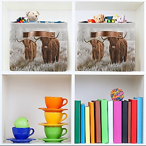 Scottish Highland Cow Storage Basket Fabric Storage Bin Baskets Bull Farmhouse Funny Animal Foldable Storage Boxes Bag for Baby Cloth Dog Toy Book Storage Cubes Shelf Closet Basket 16×12×8 Inches