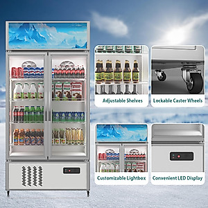 18 Cu. Ft. Commercial Refrigerators Glass Door, Commercial Beverage Fridge, Commercial Merchandiser Refrigerator for Beer, Bar, Drink, Display Upright Beverage Refrigerator Cooler, Silver ﻿