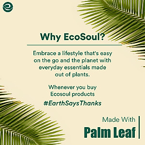 ECO SOUL Compostable 8 Inch Palm Leaf Square Plates (20 Count) Like Bamboo Plates | Biodegradable | Eco-Friendly, Microwave & Oven Safe