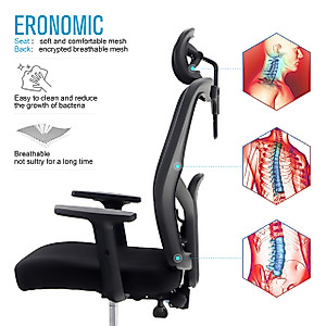 ALPHA HOME Office Chair Ergonomic Home Desk Chair Mid Back Mesh Computer Task Chair with Lumbar Support Executive Stool with Adjustable Armrest & Seat Cushion Rolling Swivel Desk Chair-Capacity 300LBS