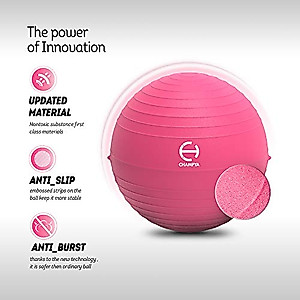 𝗘𝘅𝗲𝗿𝗰𝗶𝘀𝗲 𝗕𝗮𝗹𝗹 for Working Out 65 cm-Yoga Ball Chair & Balance Ball for Pregnancy, Birthing Physical Therapy & Chair for Office - Stability Ball & Stainless Steel Pilates Bar for Workout