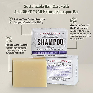 J·R·LIGGETT'S All-Natural Shampoo Bars -Tea Tree & Hemp Oil, Jojoba & Peppermint and Coconut & Argan Oil, Nourishes Follicles with Antioxidants and Vitamins, Sulfate-Free, Set of Three, 3.5 Ounce Bars