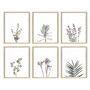 HAUS AND HUES Floral Prints and Plant Posters Set of 6 Botanical Prints Wall Art & Floral Wall Art, Wildflower Wall Art Plant Wall Art Minimalistic Wall Art Plant Set (8"x10", UNFRAMED)