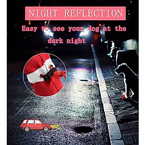 YAODHAOD Dog Shoes for Small Dogs, Anti-Slip Dogs Boots & Paw Protector for Winter Snowy Day, Summer Hot Pavement Dog Booties with Reflective Straps, Cat Dog Shoe for Indoor Hardfloors (Red,7)