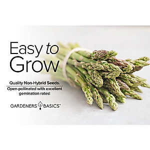 Gardeners Basics, Asparagus Seeds for Planting - Mary Washington Non-GMO Perennial Vegetable Variety- 2 Grams Seeds Great for Spring and Early Summer Gardens