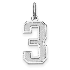 IceCarats 14K White Gold Medium Number 3 Necklace Charm Pendant Only