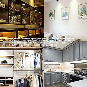 Taysing LED Spot Light Indoor Picture Lights Art Lights Accent Lights Little Spotlight Up Lights for Painting Picture Plants Jewelry Showcase Model Display Shelves Under Cabinet(Soft White 2700K)