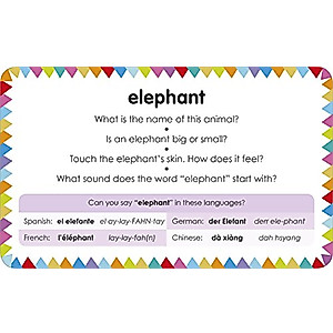 My First Touch and Feel Picture Cards: Animals (My First Board Books)