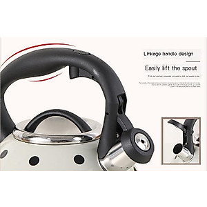 Tea Kettle Stovetop Whistling Teapot 304 Stainless Steel Whistling Kettle 3L Teapot Thickened Three-Layer Composite Bottom Whistle Kettle Stove Top Kettle (Color : Red, Size : 3.4L)