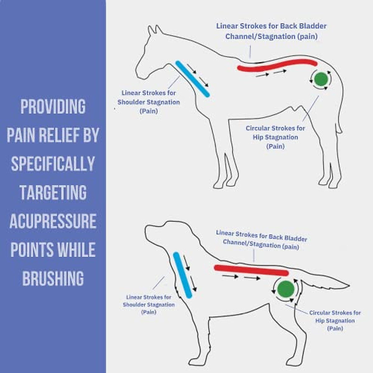 Curry on a Stik' - Dog Brush for Shedding, Grooming, Bathing, & Therapeutic Massage Tool - For Long & Short Haired Dogs - Decreases Shedding & Increases Coat Health - Veterinarian Approved - Ergonomic