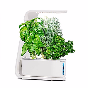 AeroGarden Sprout with Gourmet Herbs Seed Pod Kit - Hydroponic Indoor Garden, White & Grow Anything Seed Pod Kit for AeroGarden Hydroponic Indoor Garden, 9-Pod