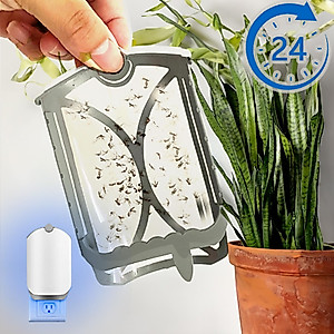 ALADUSA 8 Pack Refill Cartridges Compatible with ZEVO Trap M364 and Max, Replacement Fit ZEVO Traps Refills