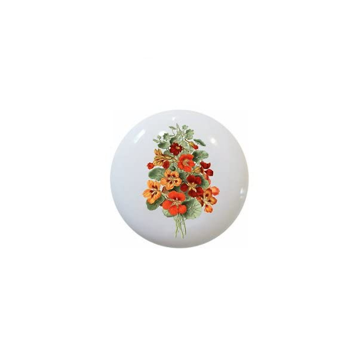 Bittersweet Hues Orange Dahlia Nasturtium Poppy Flowers Owls Goldenrod Decorative Ceramic Dresser Drawer Pulls Cabinet Cupboard Knobs (#4 Nasturtium)