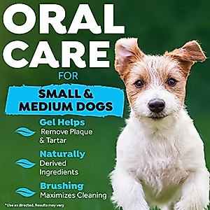 TropiClean Fresh Breath Oral Care Kit for Small & Medium Dogs - Complete Toothbrush & Toothpaste Gel Kit - Helps Remove Plaque & Tartar + Breath Freshener