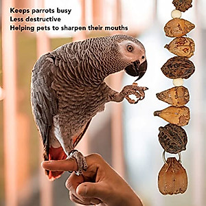 Zerodis Bird Parakeets Chewing Toy Bird Chew Toys Grinding Parakeets Toys Mouth Bite Resistance Logs Nuts Hanging Parakeets Chew Toys for Parakeets Macaws Budgies Bird Toys for Parakeetss