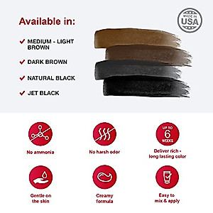 Godefroy Barbers Choice 3 Application Beard and Mustache Dye For Men, 6 weeks of Cover For Gray Facial Hair, Natural Black