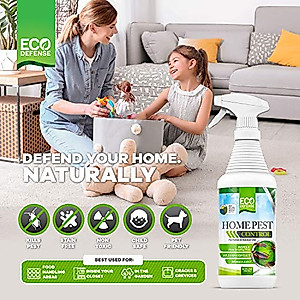 Eco Defense USDA Biobased Pest Control Spray - Ant, Roach, Spider, Bug Killer and Repellent - Natural Indoor & Outdoor Bug Spray - Child & Pet Friendly